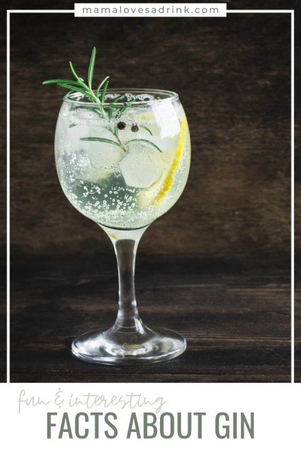10 Fun & Interesting Facts About Gin - Mama Loves A Drink